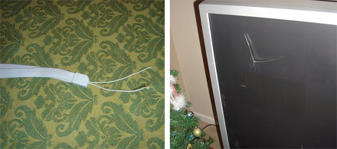 Wii Remote Attacks Innocent TV - Gadizmo.com
