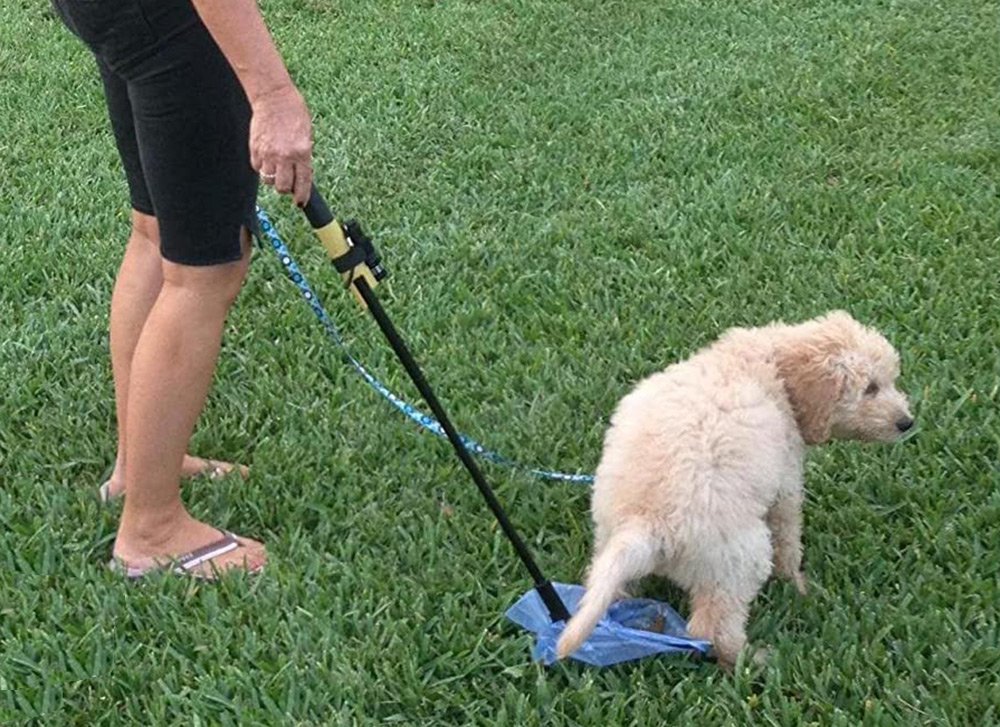 Clean Up After Your Dog With Catchapoo - Gadizmo.com
